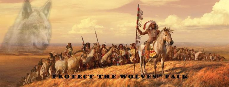Announcement: Protect The Wolves Pack is 1 Step Closer - Protect The ...